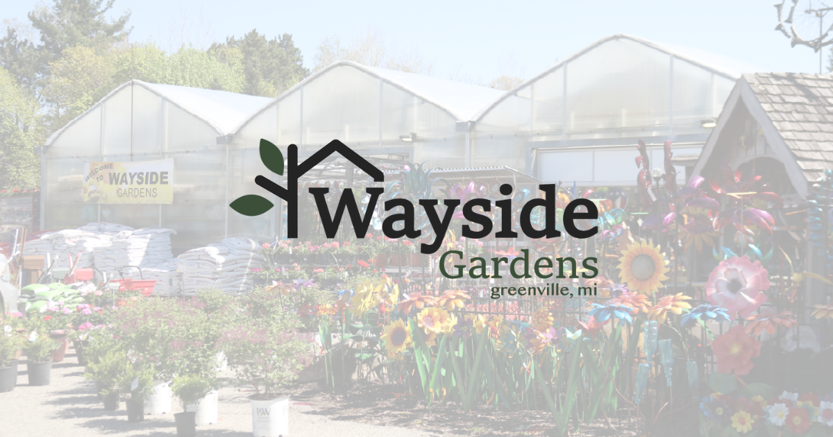 Wayside Gardens Greenville Mi